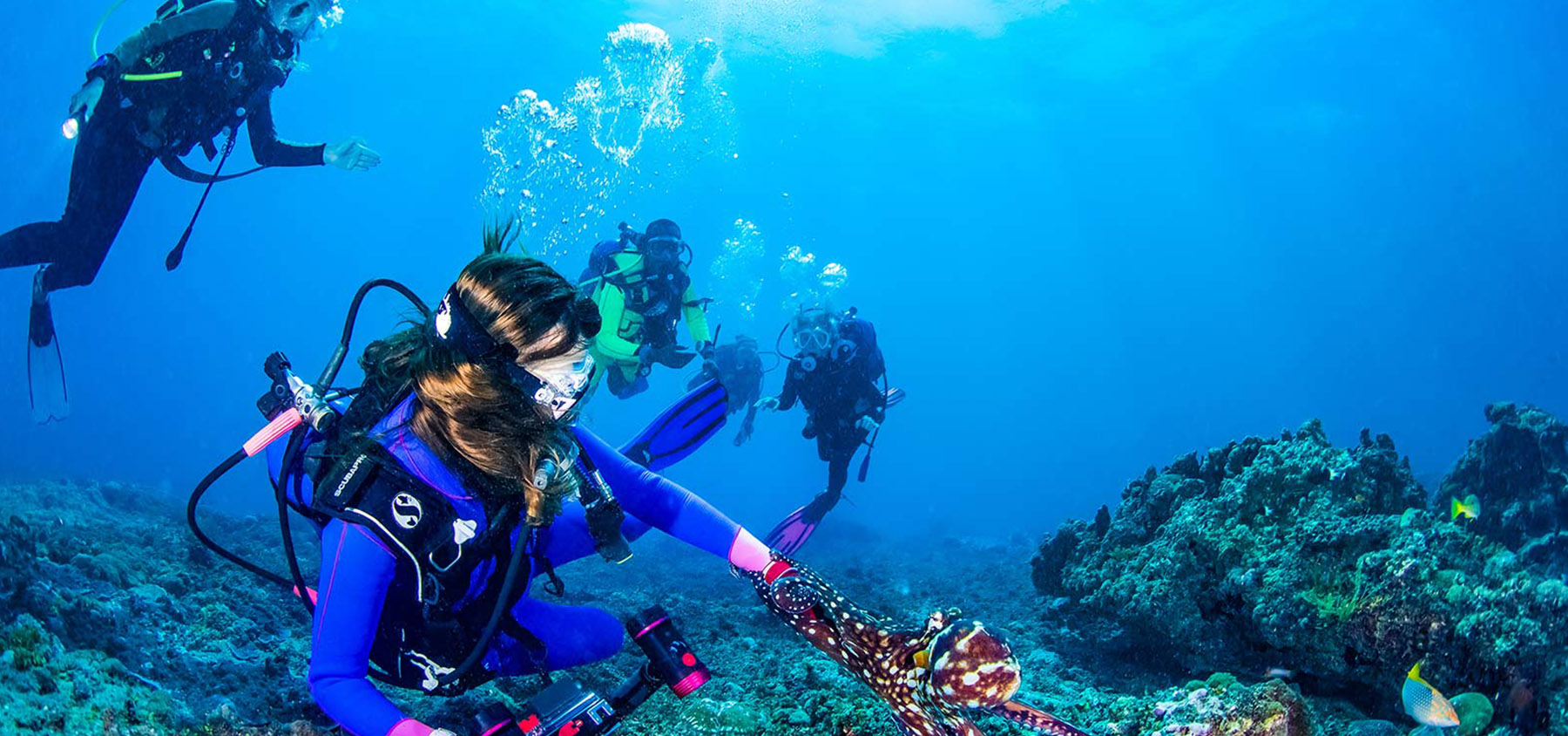 The Watamu Experience in Kenyan Coast - Novan Global